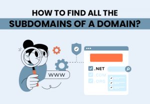 How to Find All the Subdomains of a Domain?