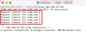 How to Ping Google in Windows, Linux & MacOS?